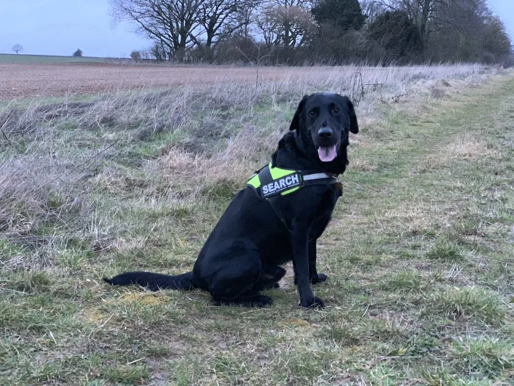 SIA Licensed Security Dog Handlers — Code 9 Security® | Security Services in Hampshire and the ...